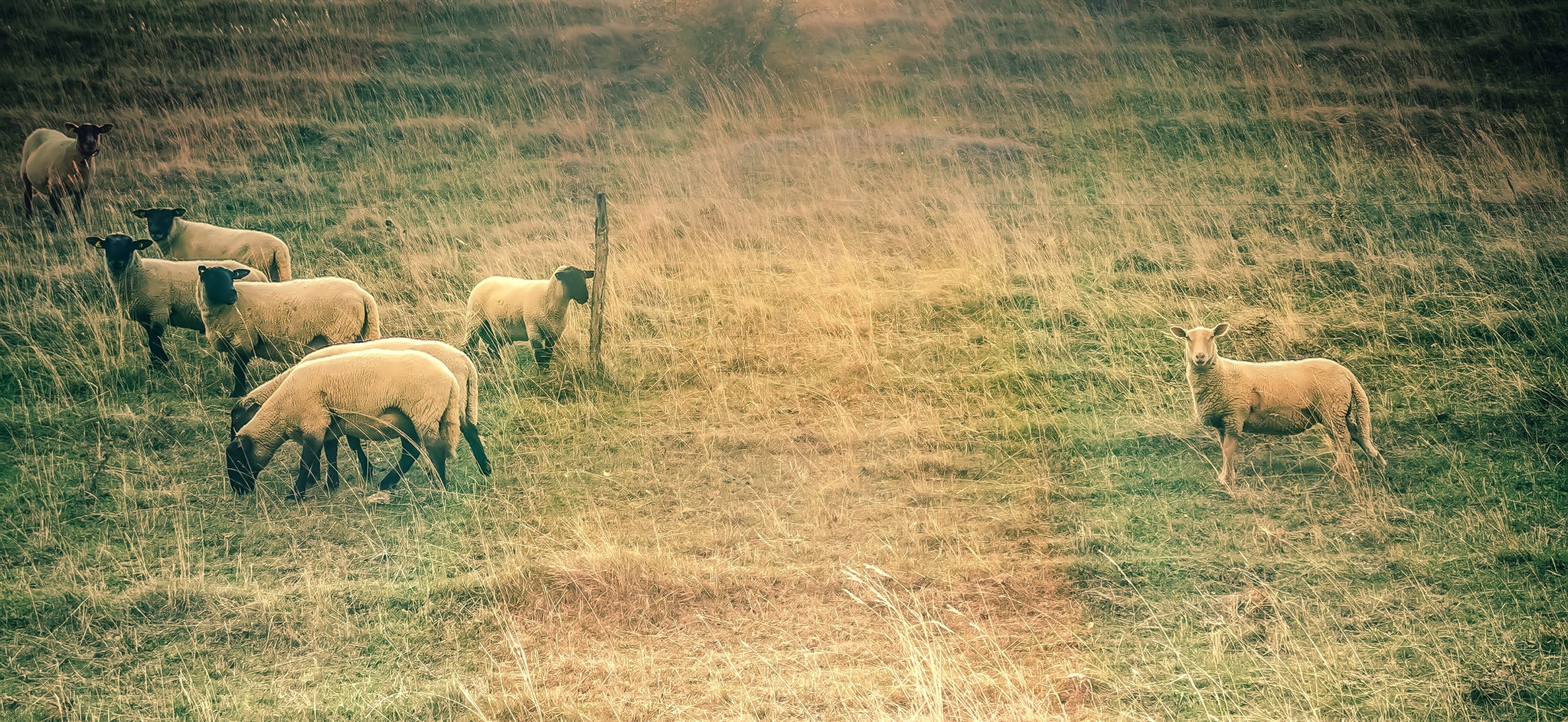 A Warning Against Partiality - On Mission